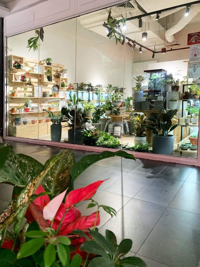 Our Store - Midorie Malaysia